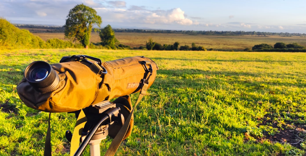 Clara Bog Conservation Ranger - Clara Bog Nature Reserve